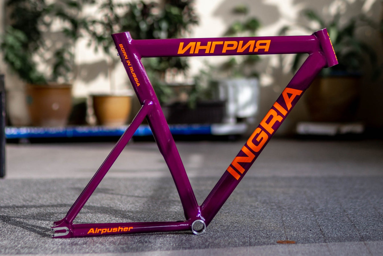 INGRIA Airpusher Track Bike Frame – FISHTAIL CYCLERY